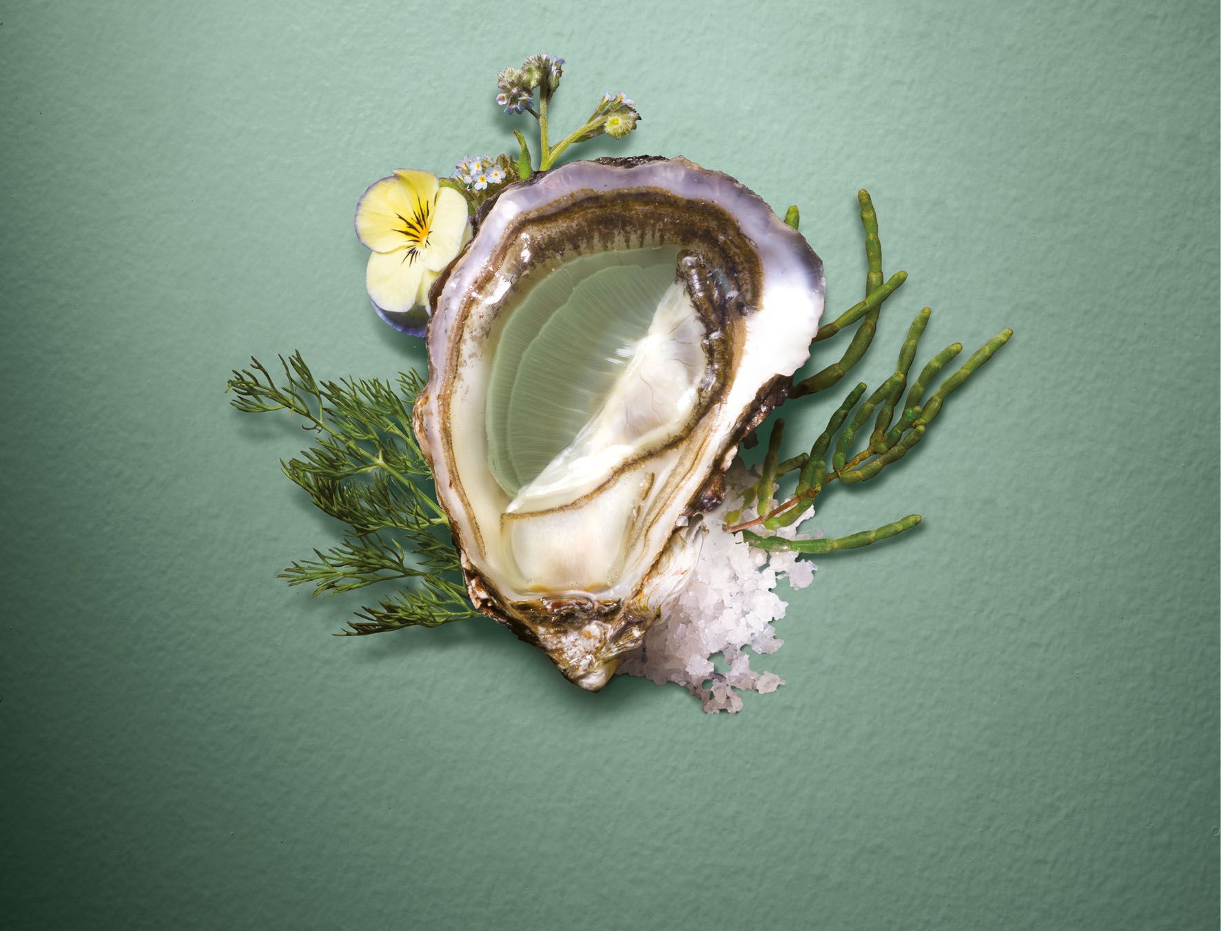 Les Huîtres Marennes Oléron IGP, tout un rituel de dégustation - Elle à ...