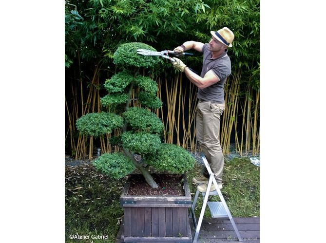 Garden staging : tout savoir sur ce relooking de jardin - Elle Décoration