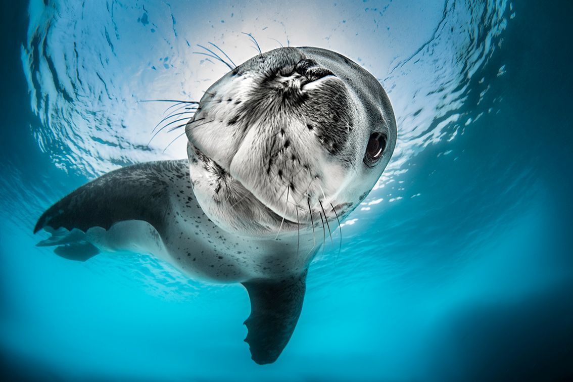 Escapades : nos adresses pour une virée sur la Côte d’Azur et sa région ...