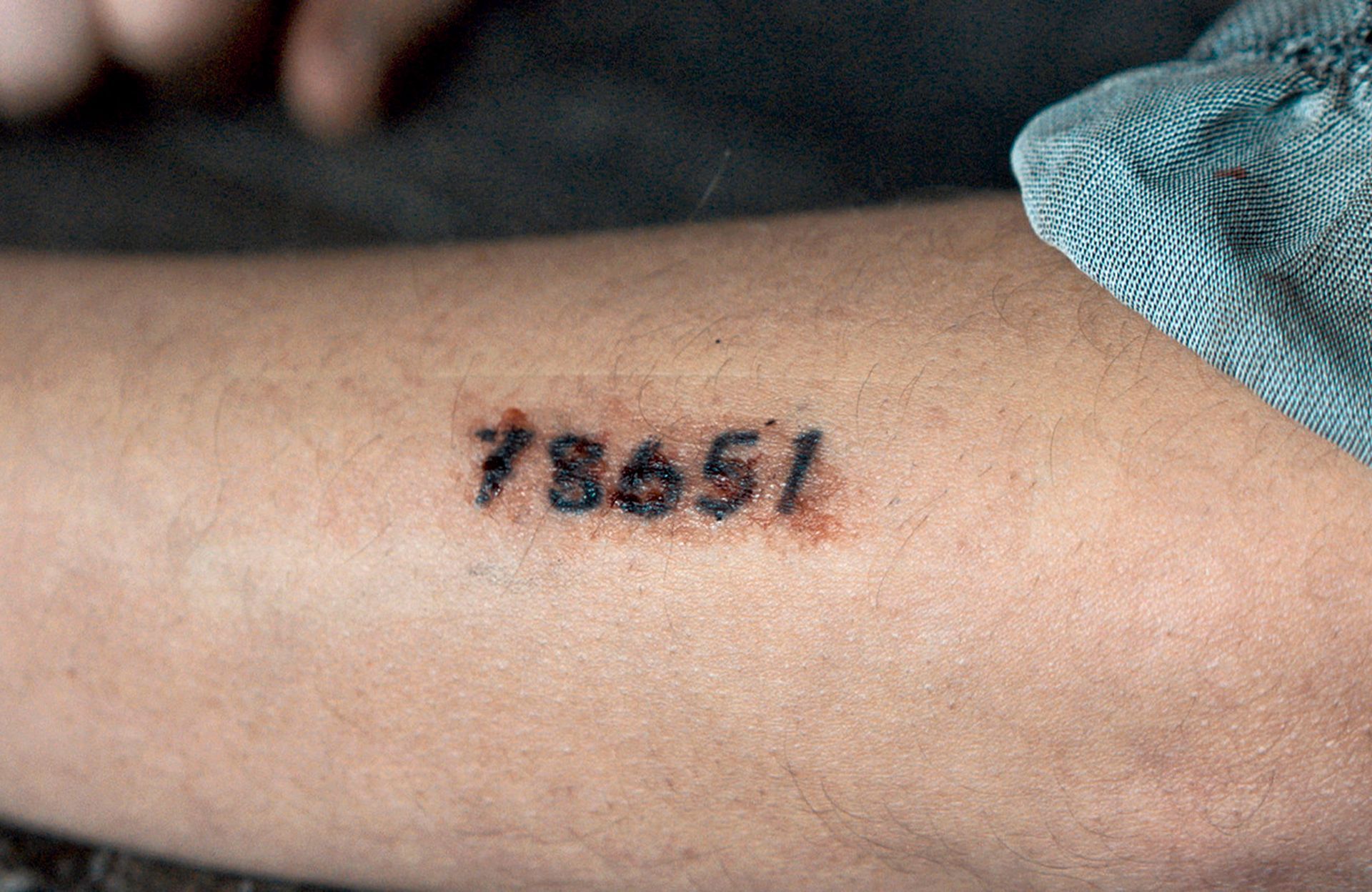 Elsa Zylberstein dans la peau de Simone Veil : « Je n'étais plus moi ...