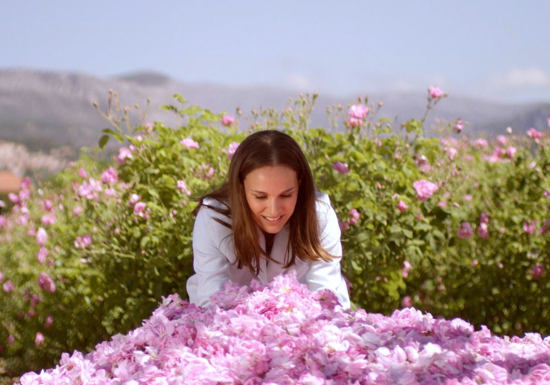 Natalie Portman à la découverte des roses de Grasse avec Dior - Elle