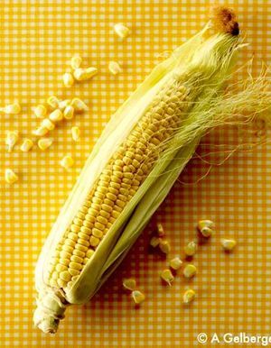 Résultats page [4] : Recettes au maïs faciles et pas chères - Elle à Table