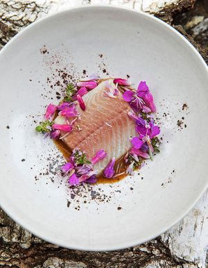 Recettes aux fruits rouges faciles et acidulées - Elle à Table