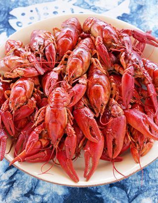 Ecrevisses à la nage pour 6 personnes - Recettes Elle à Table