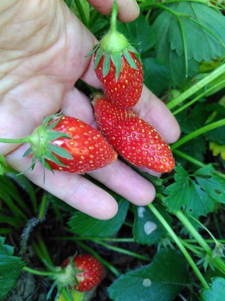Rhône-Alpes et Auvergne : adresses et activités pour un séjour proche ...