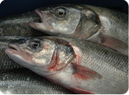 A chaque saison son poisson ! - Elle à Table