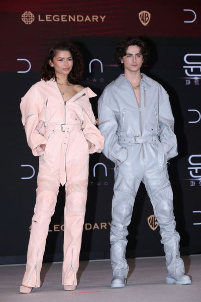 En looks coordonnés, Zendaya et Timothée Chalamet font honneur à la ...