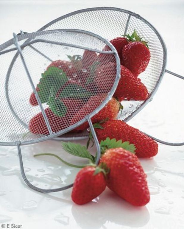 Fraises au sucre pour 1 personne - Recettes Elle à Table