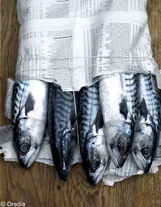 Pénurie de poissons « made in France » sur les étals - Elle à Table