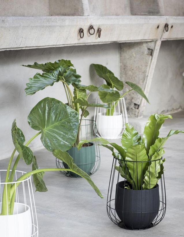 Notre sélection de cache-pots pour mettre en valeur vos plantes - Elle ...