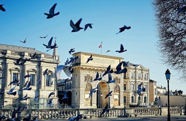 City guide : Sélection d’adresses gourmandes à découvrir à Montpellier ...