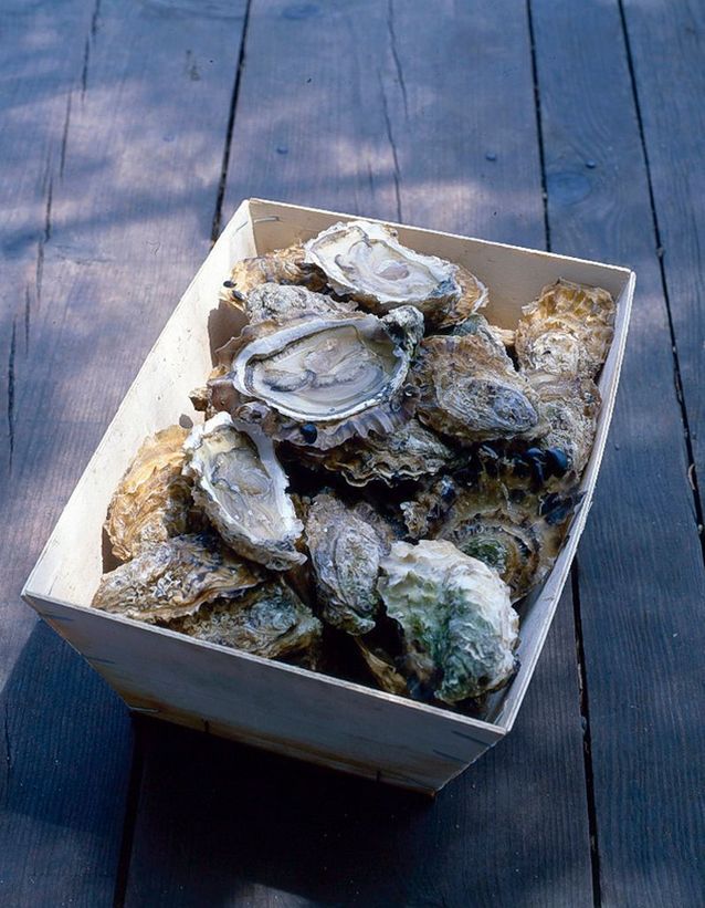 LES HUÎTRES - Les produits cultes d'Alexandre Bourdas - Elle à Table