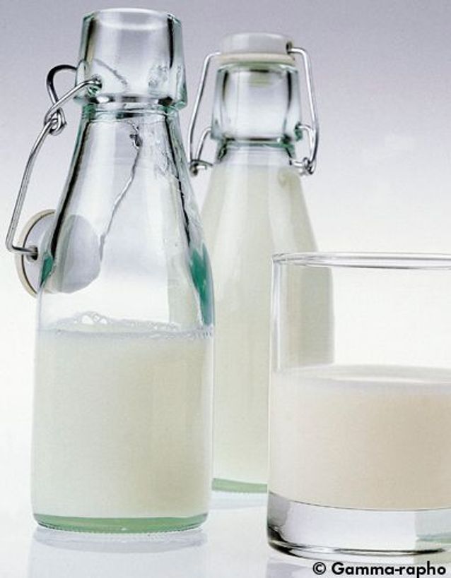 Le lait ribot - Les 10 produits cultes de Jean-Marie Baudic - Elle à Table