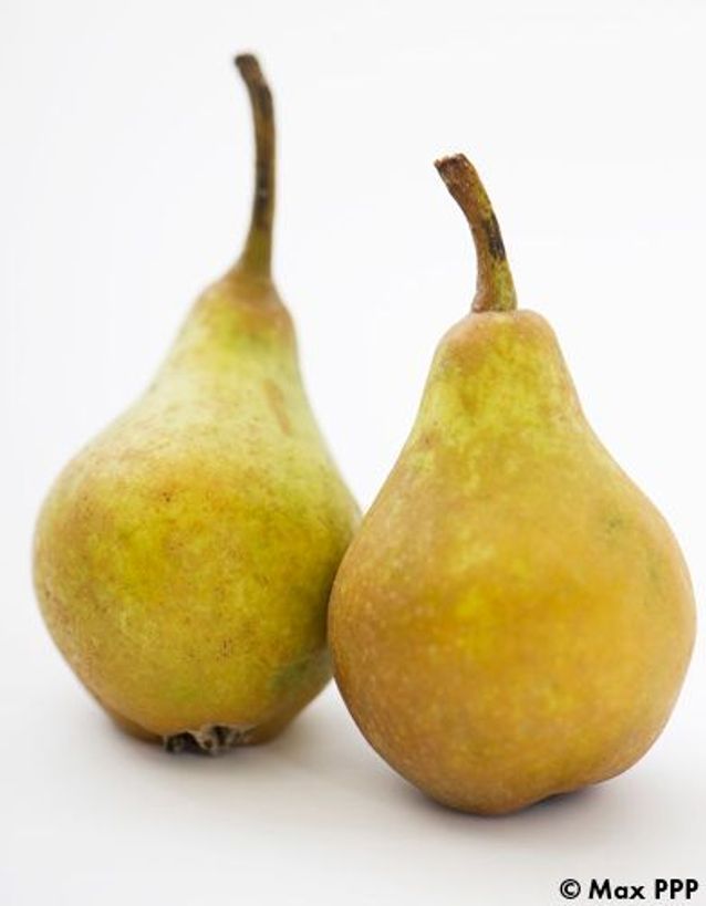 Les poires - Les 10 produits cultes de Jean-Marie Baudic - Elle à Table