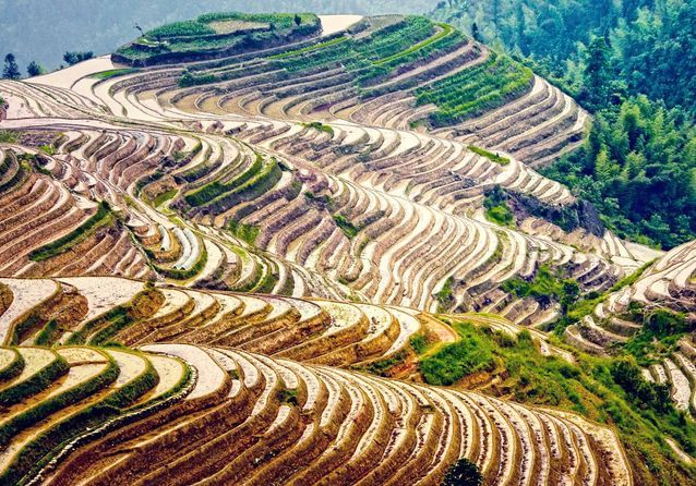 Les rizières de Longsheng, en Chine - Les 14 plus beaux paysages du ...