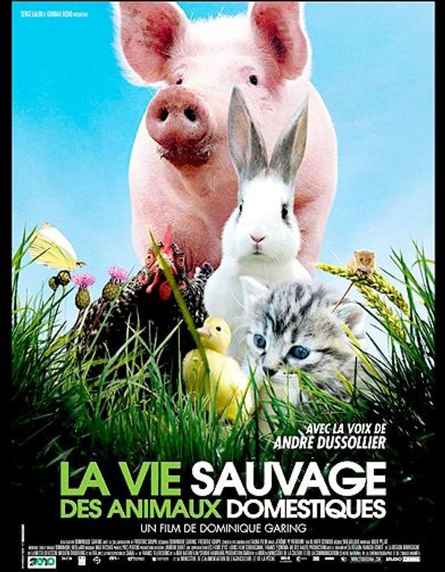 « La vie sauvage des animaux domestiques » - Les blockbusters de l’été ...