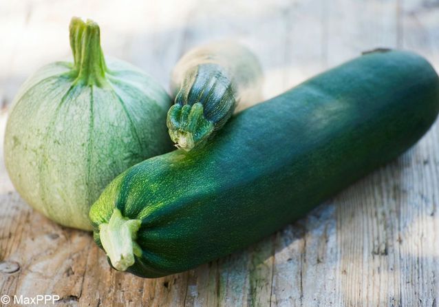 Courgettes - Les aliments bien-être et plaisir de l’été - Elle