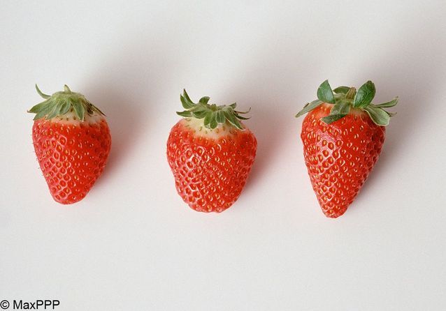 Fraises - Les aliments bien-être et plaisir de l’été - Elle
