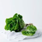 Fruits et légumes de saison mai : découvrez les fruits et légumes de ...