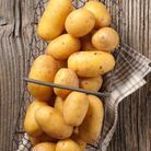 La girolle - Quels fruits et légumes de saison en septembre ? - Elle à ...