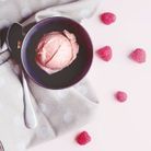 Comment faire une glace sans sucre ? - Elle à Table