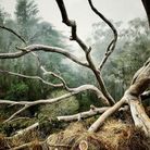 Aaron Pike - 20 incroyables clichés pris à l'iPhone - Elle