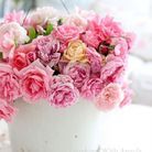 Bouquet de roses de jardin - Les plus beaux bouquets de roses ...
